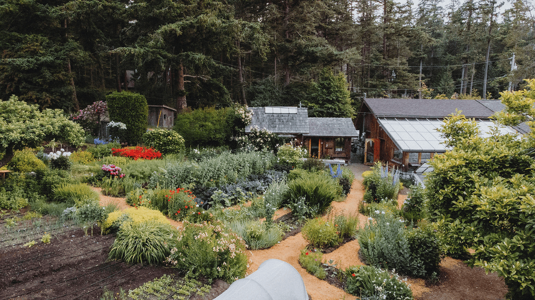 Hügelkultur Gardening | Hollyhock | Cortes Island Retreat Centre